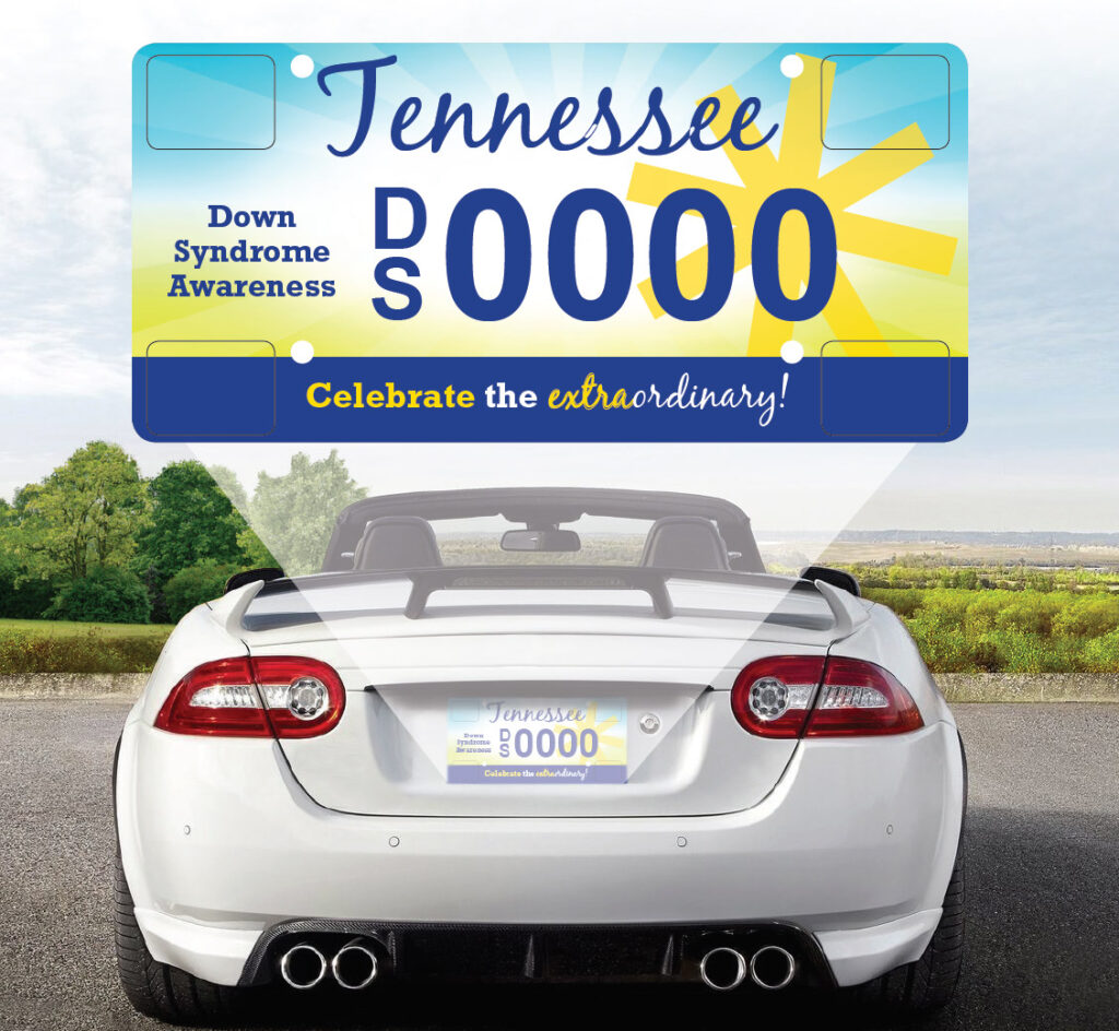 DS Awareness License Plate - Something Extra